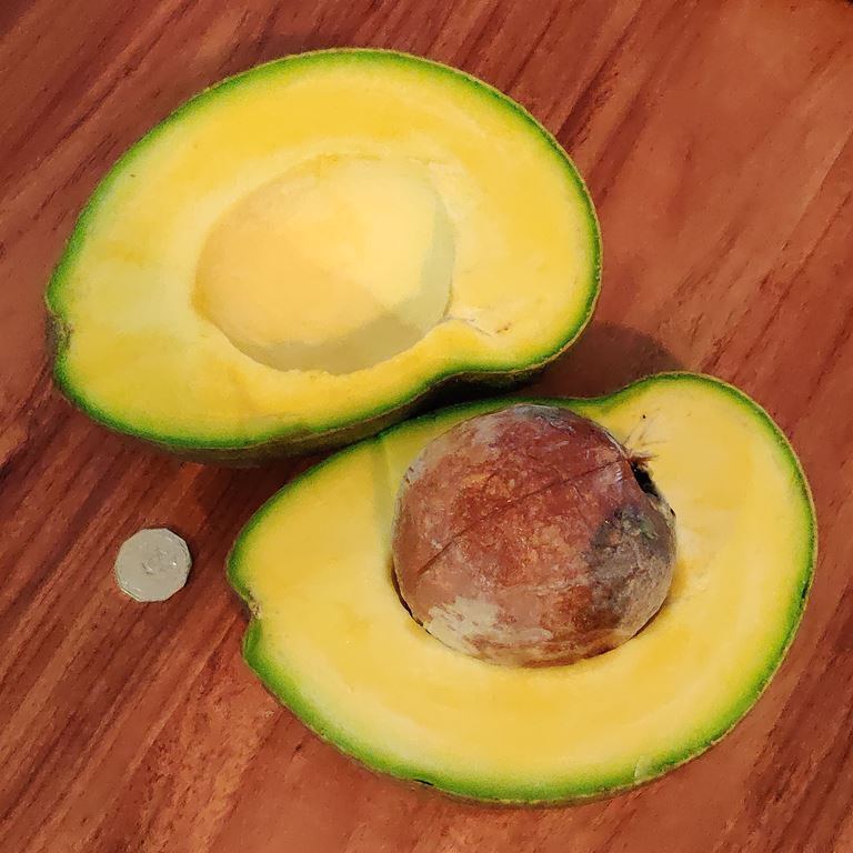27/9 Challenge | Space Clearing | Butter Pear Avocados
