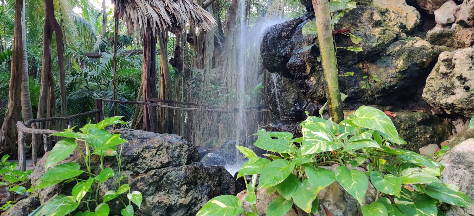 Fun Adventures and Tasty Treats on Ambergris Belize